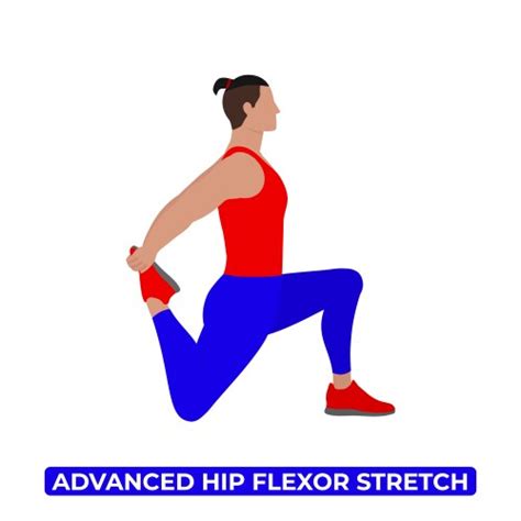 Hip Flexor Stretch Vector Images Over 100
