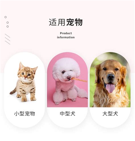 宠物分配器遛狗便携垃圾袋拾便器带灯宠物垃圾袋宠物垃圾袋灯 阿里巴巴