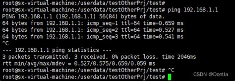 linux ping命令原理与用法ping指令ICMPInternet Control Message Protocol互联网控制报文协议TTLTime to Live数据包生存