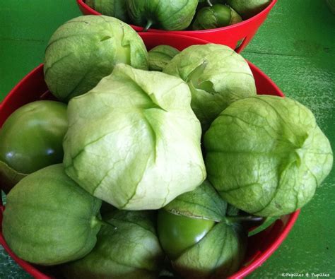 Tomatillos Deutschland At Kimberly Borges Blog