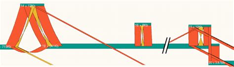 Contiguity