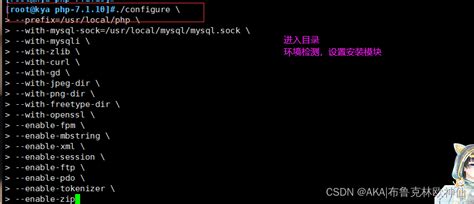 lnmp架构概述及相关服务的搭建 wantedby multi user target csdn博客