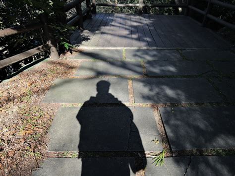 影男 by 光画部R ID12231097 写真共有サイト PHOTOHITO