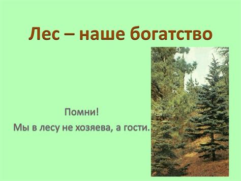 Презентация к устному журналу Природа наш дом Скачать школьные презентации Powerpoint