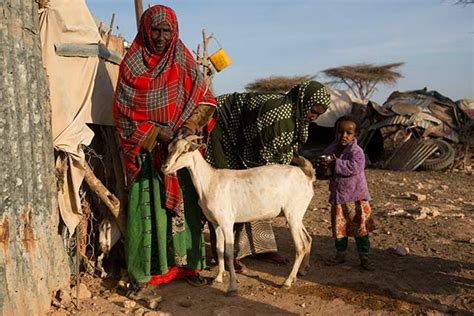 Una De Cada Tres Personas Al Borde De La Hambruna En Somalia Ips