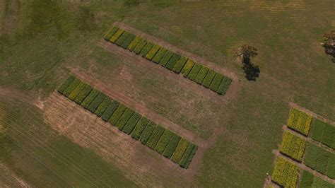 How Drone Mapping Makes On Farm Test Plots Relevant Pix4d