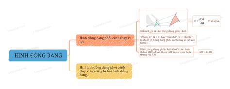 Lý thuyết Hình đồng dạng SGK Toán Cánh diều SGK Toán Cánh diều