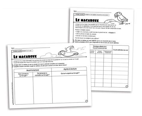 Comprendre Des Textes Informatifs 3e Cycle Version Numérique