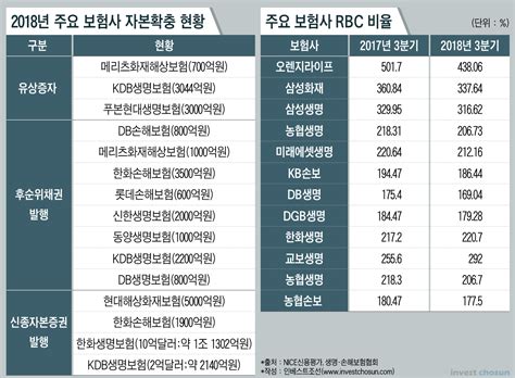 新제도·금리상승 대비해 자본확충 분주한 보험사 인베스트조선