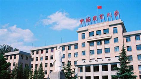 中国农业大学金融专硕考研详细解读 哔哩哔哩