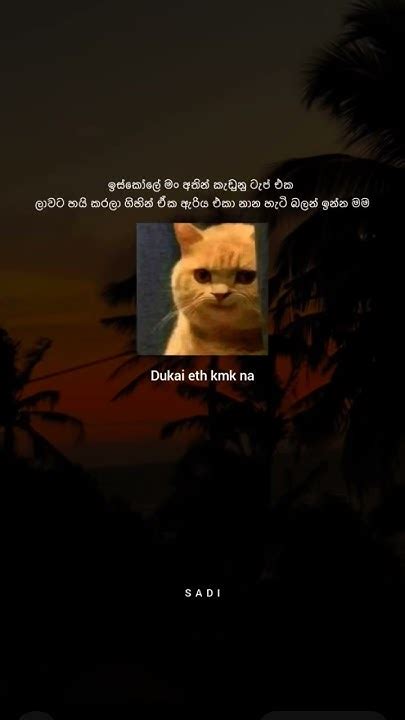 නාන හැටි🤣 Subscribe Youtube