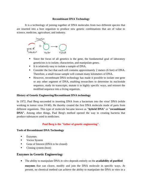 Recombinant Dna Technology Pdf Restriction Enzyme Dna
