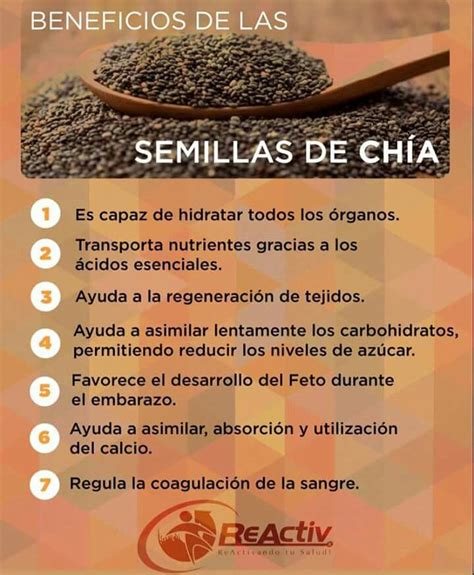 Semillas de Chía Un Alimento con Propiedades y Beneficios Saludables
