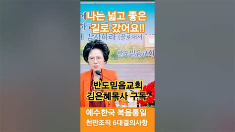천만조직 예수한국 복음통일 사랑제일교회 반도믿음교회 20240424 Youtube
