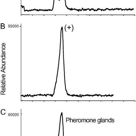 Partial Hplcms Chromatograms Of Racemic Mixture Of Disparlure A