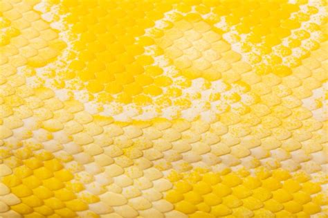 Premium Photo Macro Yellow Snake Scale Textureclose Up View Of Golden