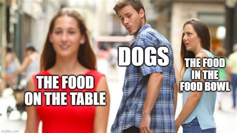 50 Of The Funniest Tweets And Best Memes Youll See Today