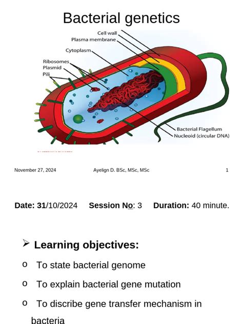 Lecture 3 Bacterial Genetics Pdf Dna Gene