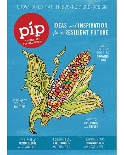Issue 18 Flipbook Pip Magazine