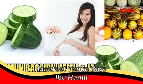 Temukan Manfaat Timun Bagi Ibu Hamil Yang Jarang Diketahui Biotifor
