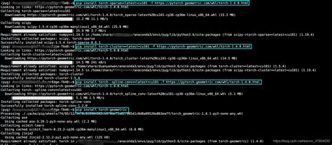 【踩坑】linux下配置torch Geometriclinux Error Could Not Find A Version That