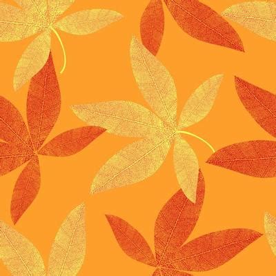 Tree No Leaves Vector Art Icons And Graphics For Free Download