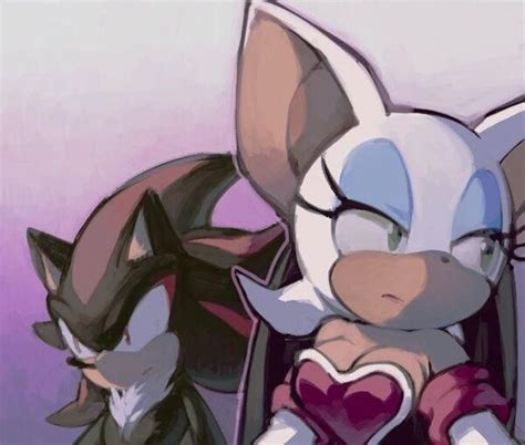Pin By Shackira On Rouge Shadow The Hedgehog Shadow And Rouge Sonic