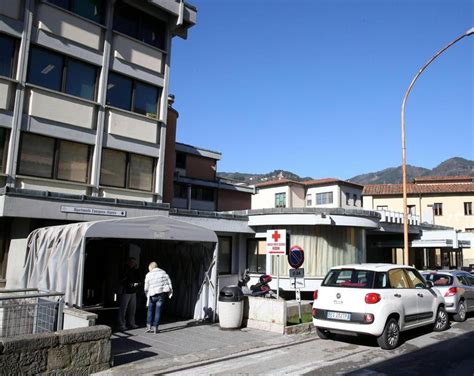 Primario A Ginecologia Pubblicato Il Bando Il Tirreno