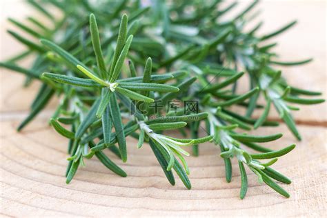 新鲜迷迭香 Rosmarinus officinalis 高清摄影大图 千库网