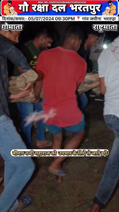 खुले खेतों में पड़े हुए बीमार नन्दी महाराज को उपचार के लिऐ ले जाते हुऐ
