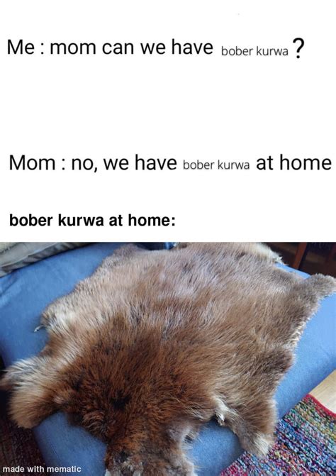 Bob GAG