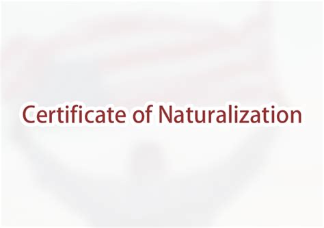 What Can I Do If I Lose My Certificate Of Naturalization Immifree