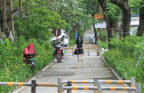 Nhếch Nhác Tuyến đường Dành Riêng Cho Người đi Bộ đi Xe đạp ở Hà Nội