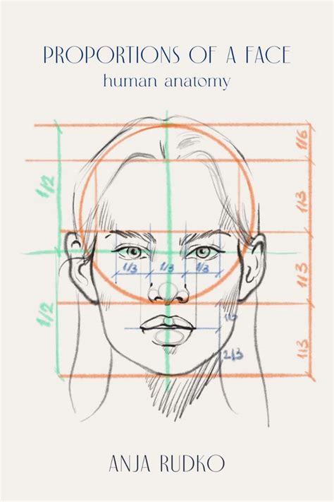 How To Draw A Portrait A Step By Step Guide To Face Proportions Как рисовать портрет