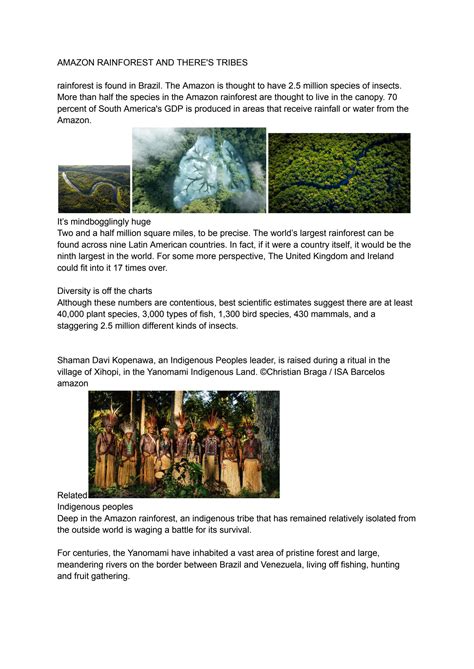 SOLUTION Worlds Largest Rainforest Mystery Amazon Jungle Studypool