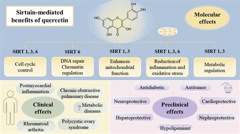 Phytotherapy Research Medicinal Chemistry Journal Wiley Online Library