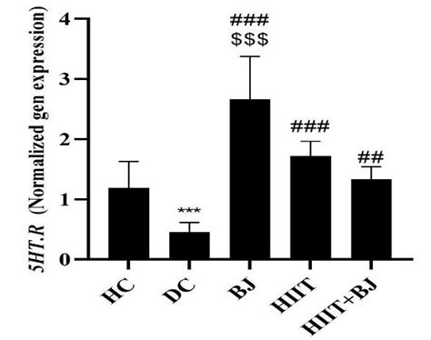 Levels Of 5 Hydroxytryptamine Receptor Gene Expression In The