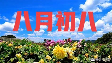 天氣預報：今日八月初八，晴天好嗎？天晴有啥說法？看農諺咋說 每日頭條