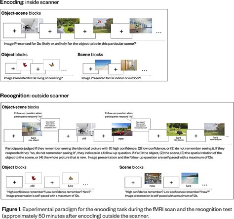 Age‐related And Ad Pathology‐related Differences In Neural Activation And Neural Specificity In