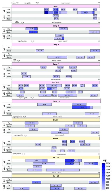 Epitopes Localization And Amplitude Of Responses For Ige And Igg4