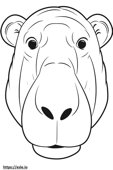 Double Doodle Face Coloring Page