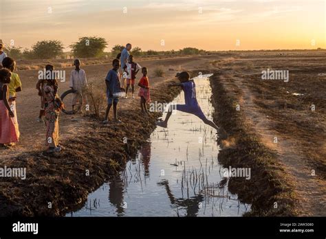 Africa Senegal Near Podor Village Of Fenaye Dualo By The River