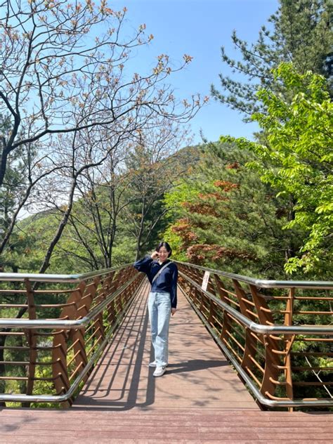 대전근교 나들이 만인산자연휴양림 봉이호떡 산내돌짜장 카페 하소 모음zip 네이버 블로그