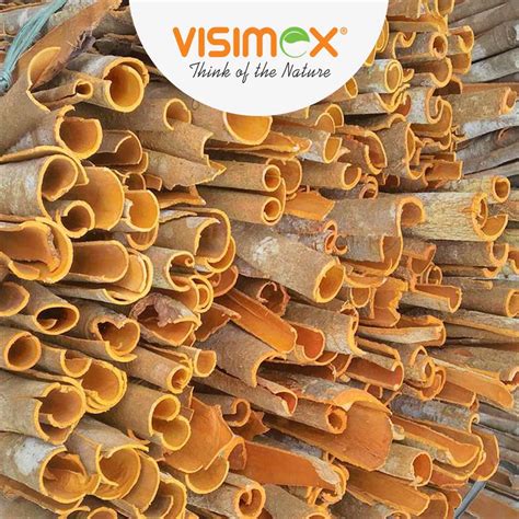 Broken Cassia Kbbc Visimex