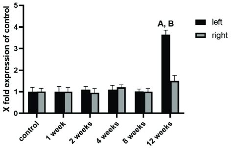 The Expression Level Of Caspase 1 In The Testis Tissue As Determined By