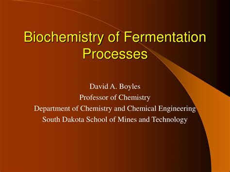 Introduction To Fermentation Ppt