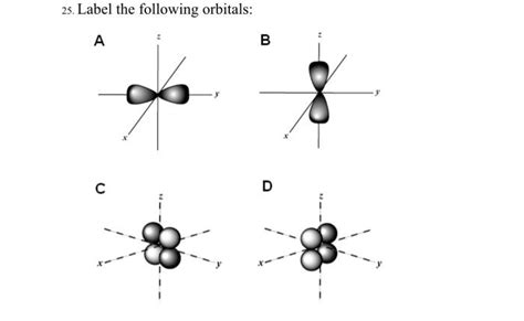 Solved 25 Label The Following Orbitals Chegg