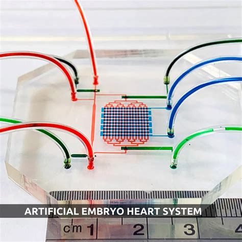 Ragavi B Posted On Linkedin