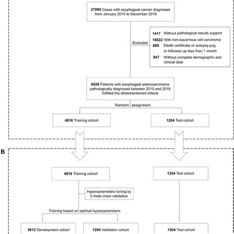 Study Workflow For Survival Prediction A Inclusion And Exclusion