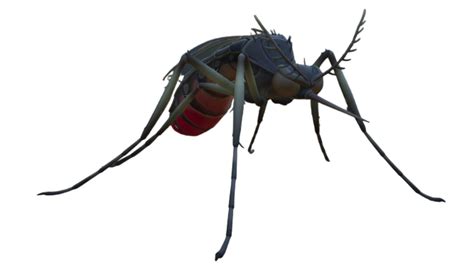 Mosquito Grounded Wiki